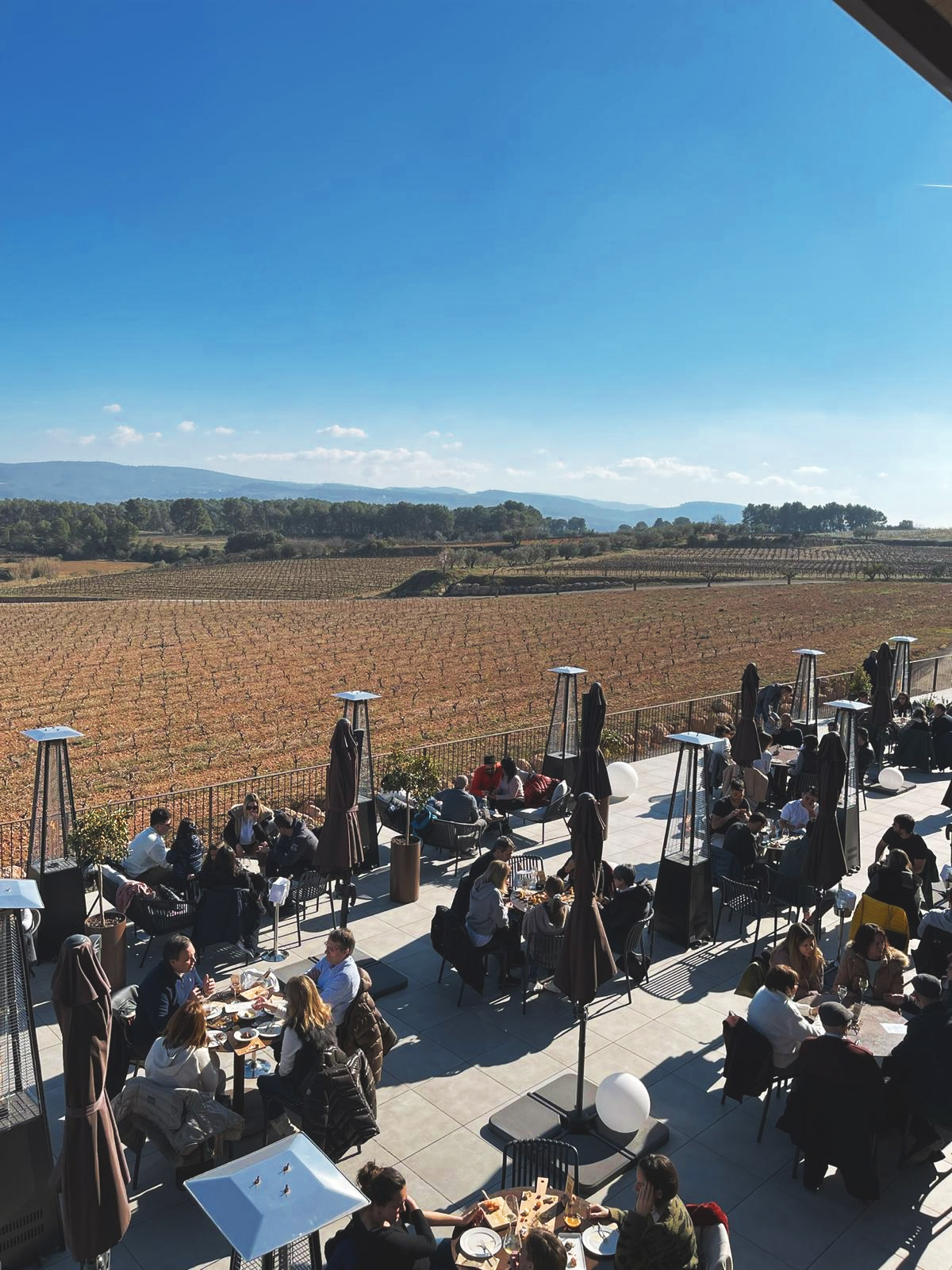 Castelo de Pedregosa | Ruta del Vi del Penedès